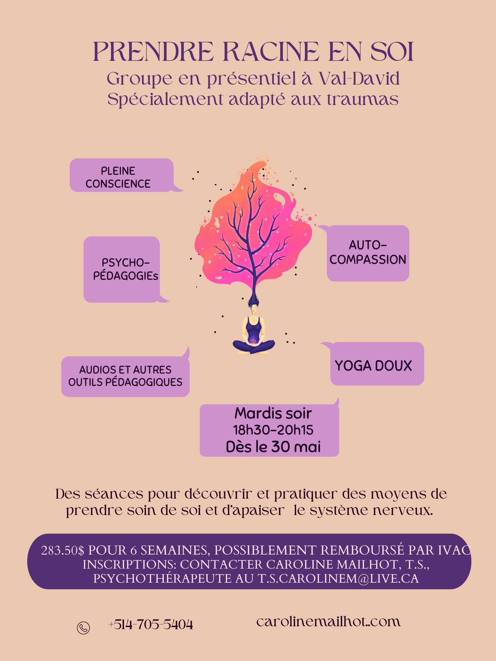 Déménagement de mon bureau dans les Laurentides – Caroline Mailhot, t.s ...